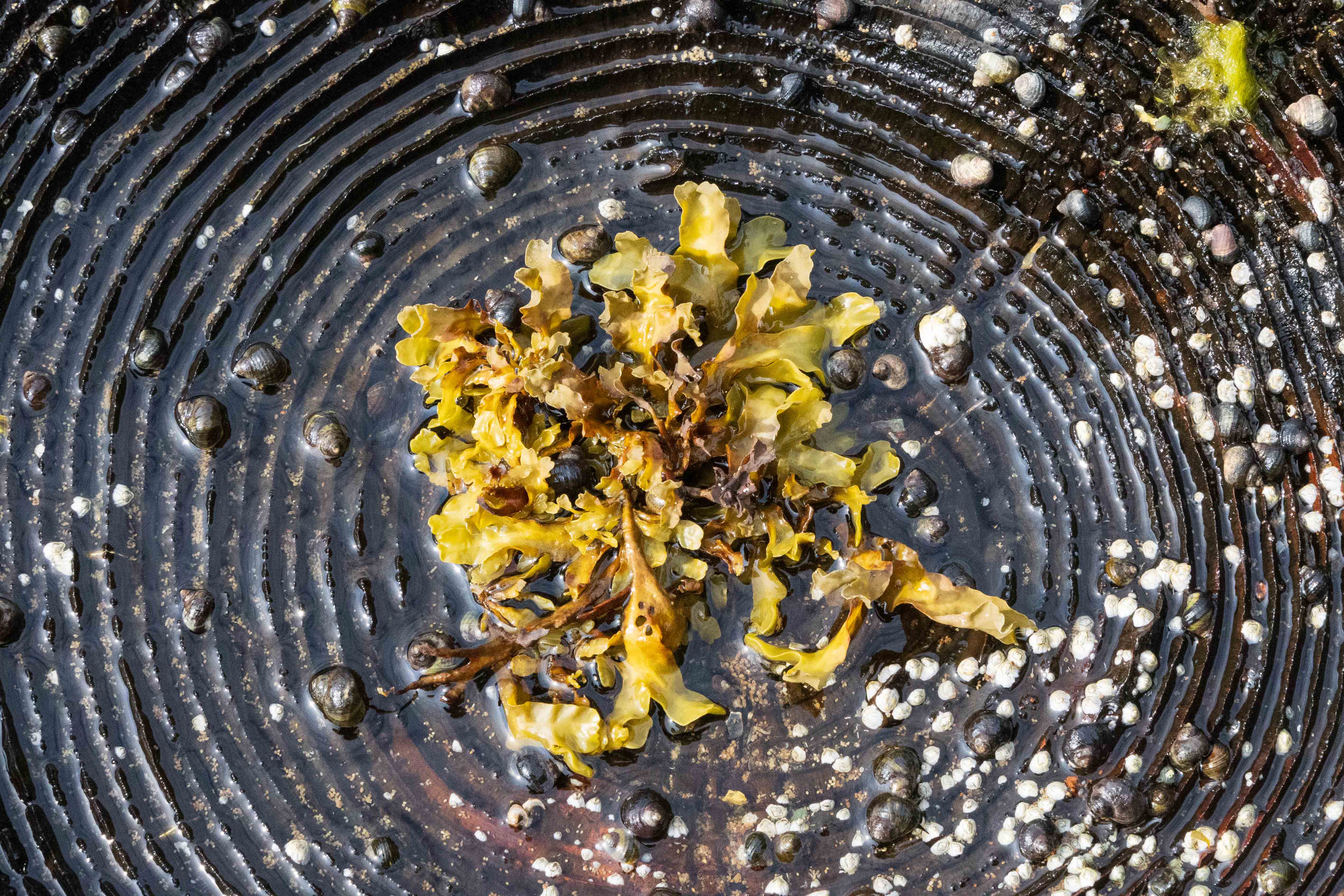 Our Eight Day Photography Excursion Aboard the MV David B — Part Two ...