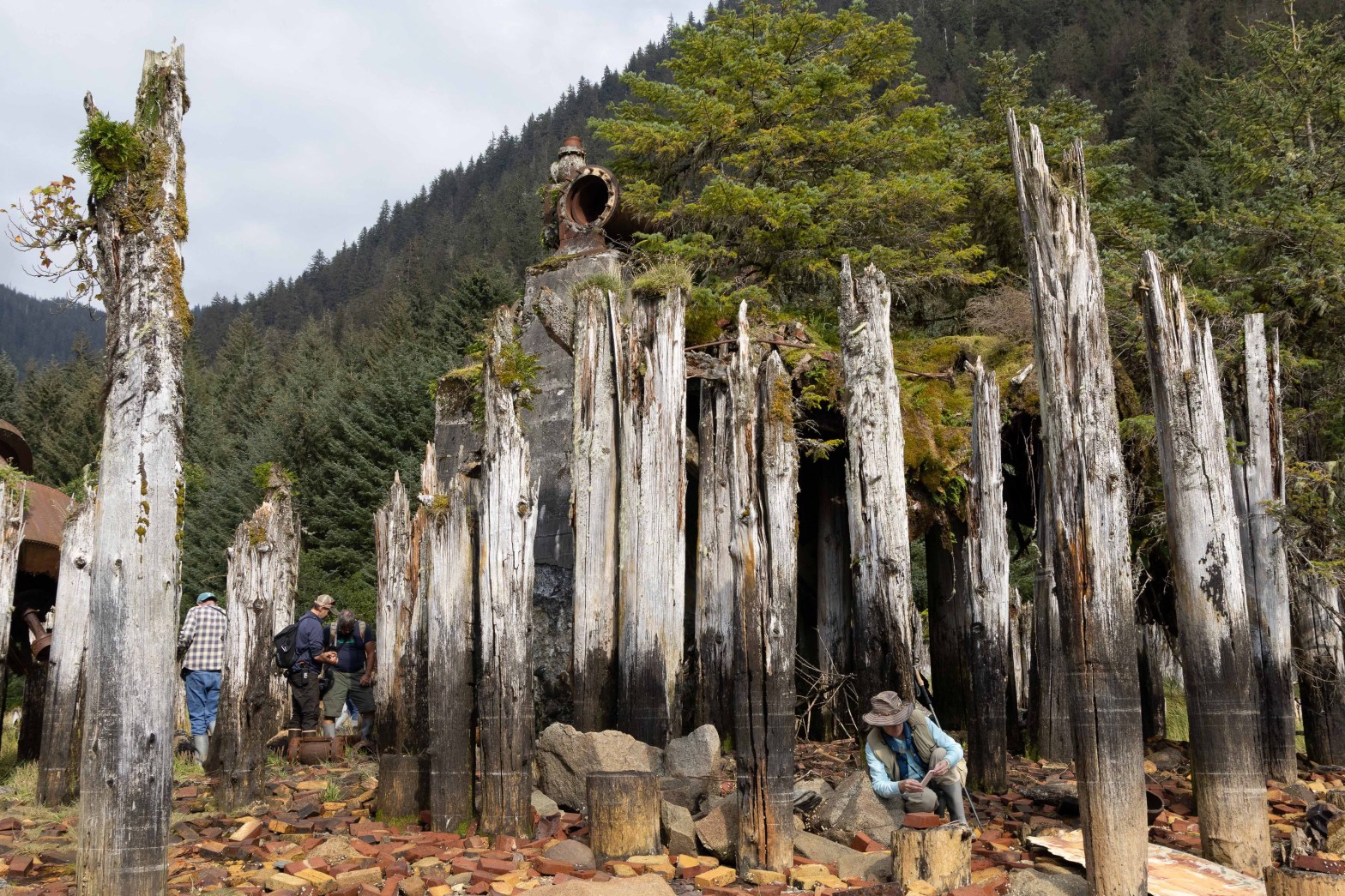 Our Eight Day Photography Excursion Aboard the MV David B — Part Two ...