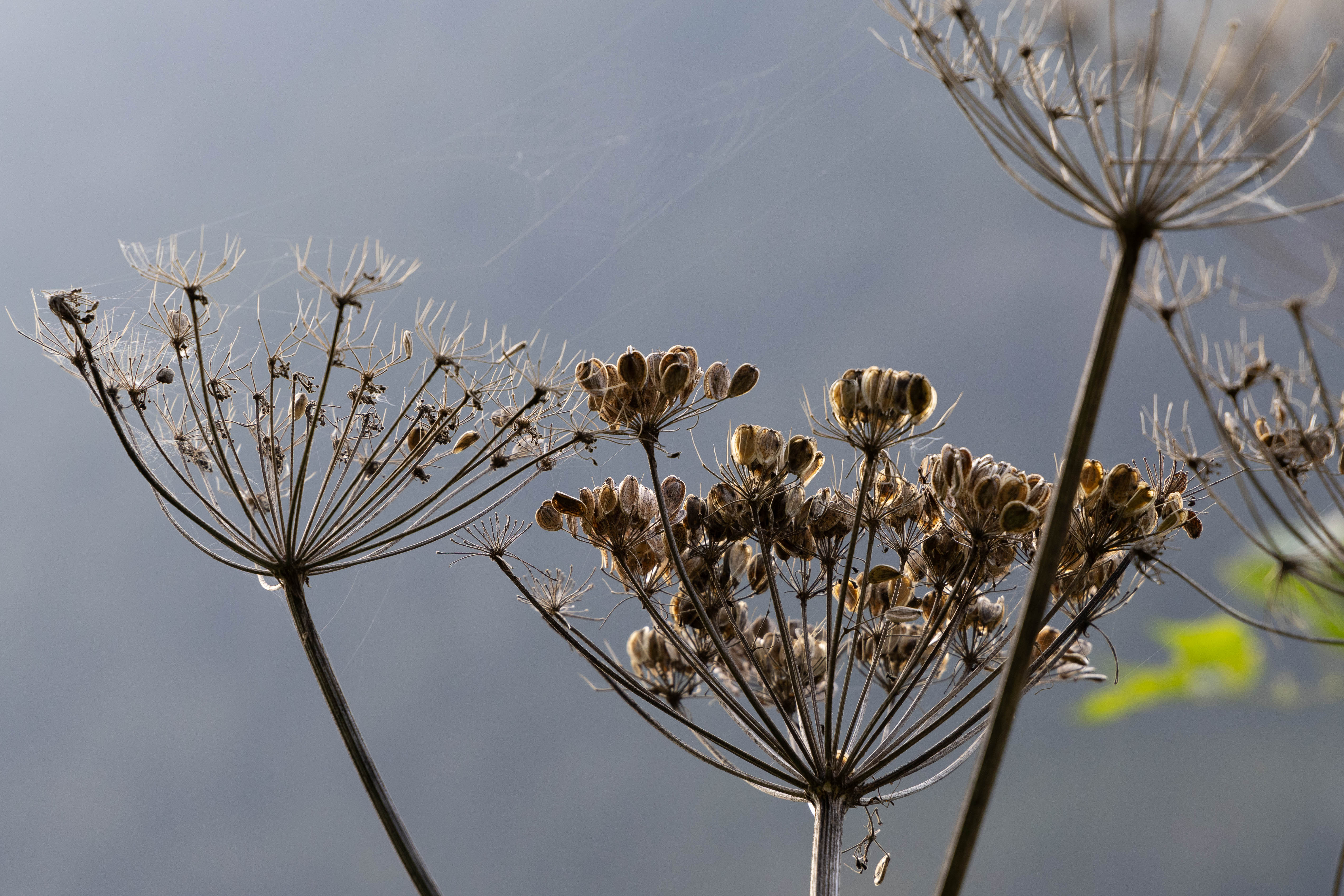 Our Eight Day Photography Excursion Aboard the MV David B — Part Two ...