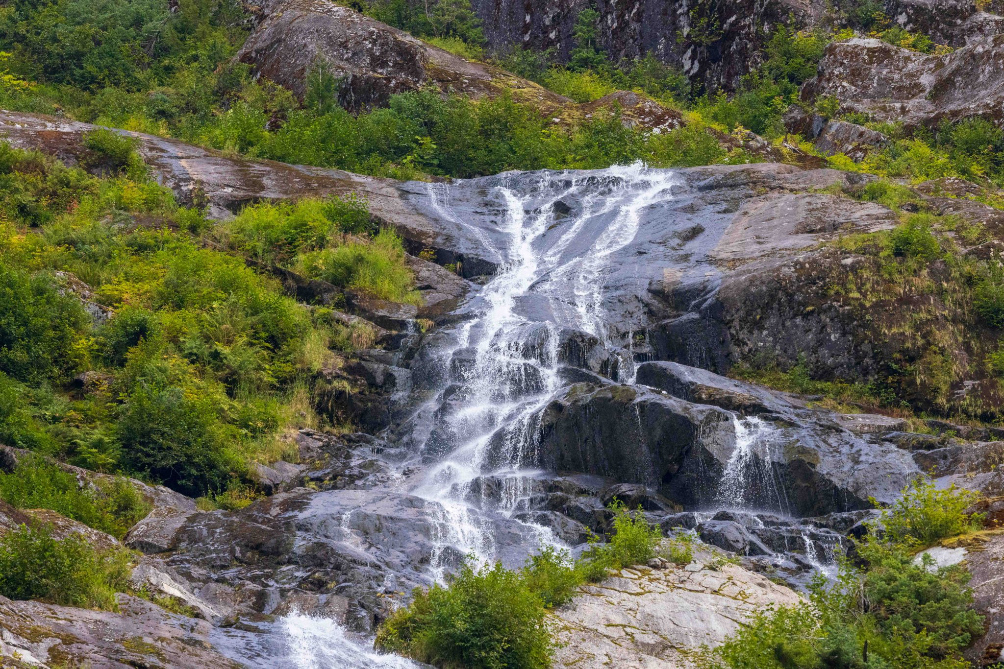 Our Eight Day Photography Excursion Aboard the MV David B — Part Two ...