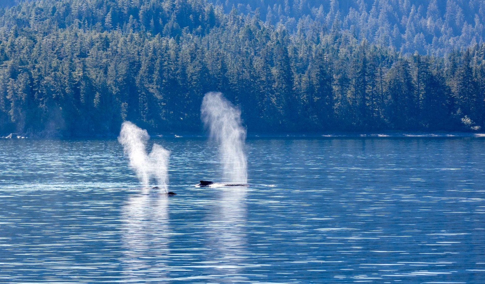 Our Eight Day Photography Excursion Aboard the MV David B — Part Five ...